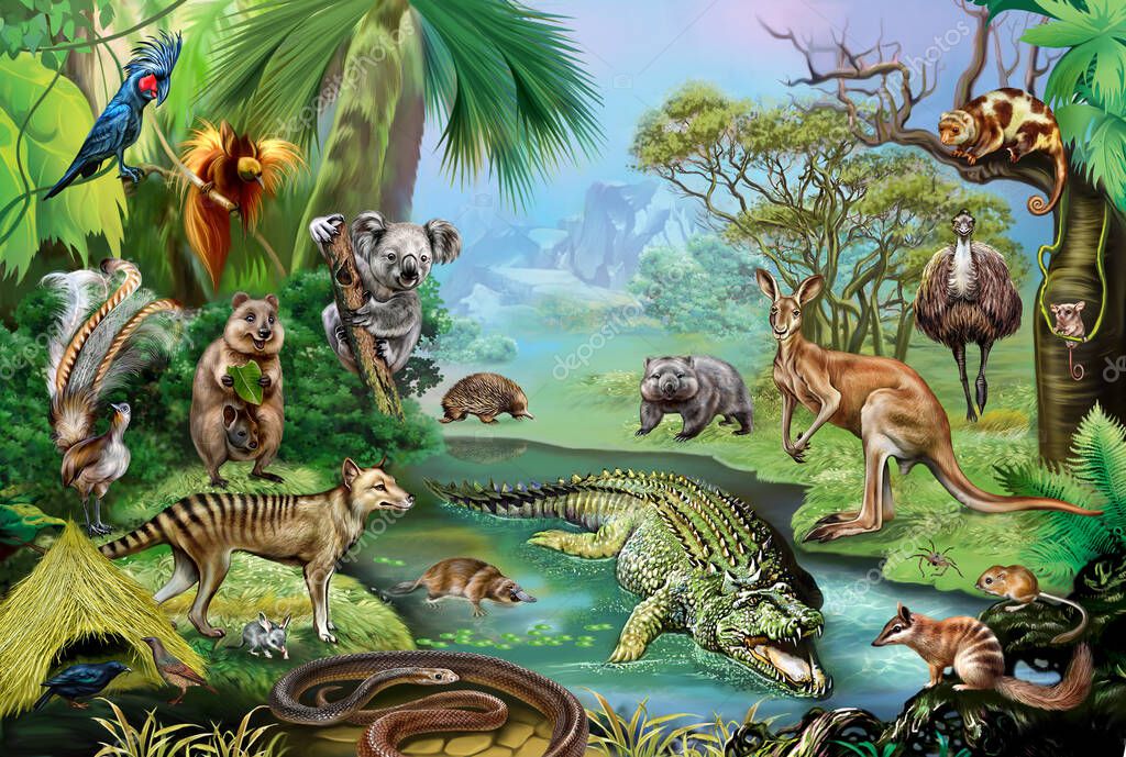 Varios Animales Australia Ilustración Con Diferentes Tipos Mamíferos ...