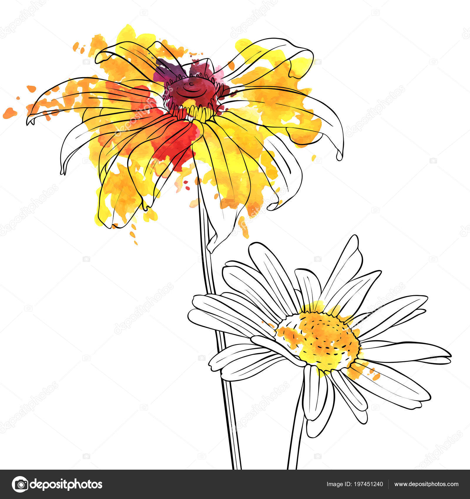 Yellow Daisy Flower Drawing