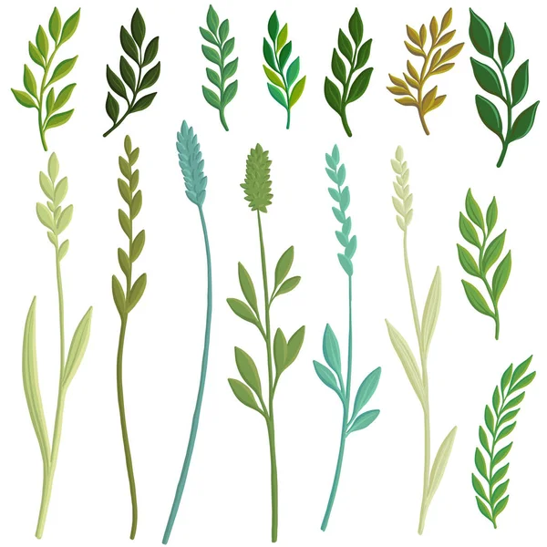 Çimen yaprakları Vector Art Stock Images | Depositphotos