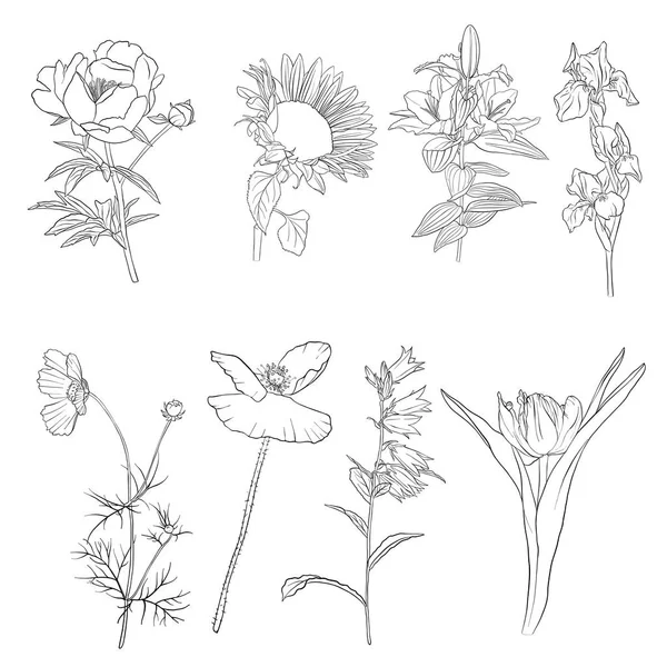 Weed bud sketch Vector Art Stock Images | Depositphotos