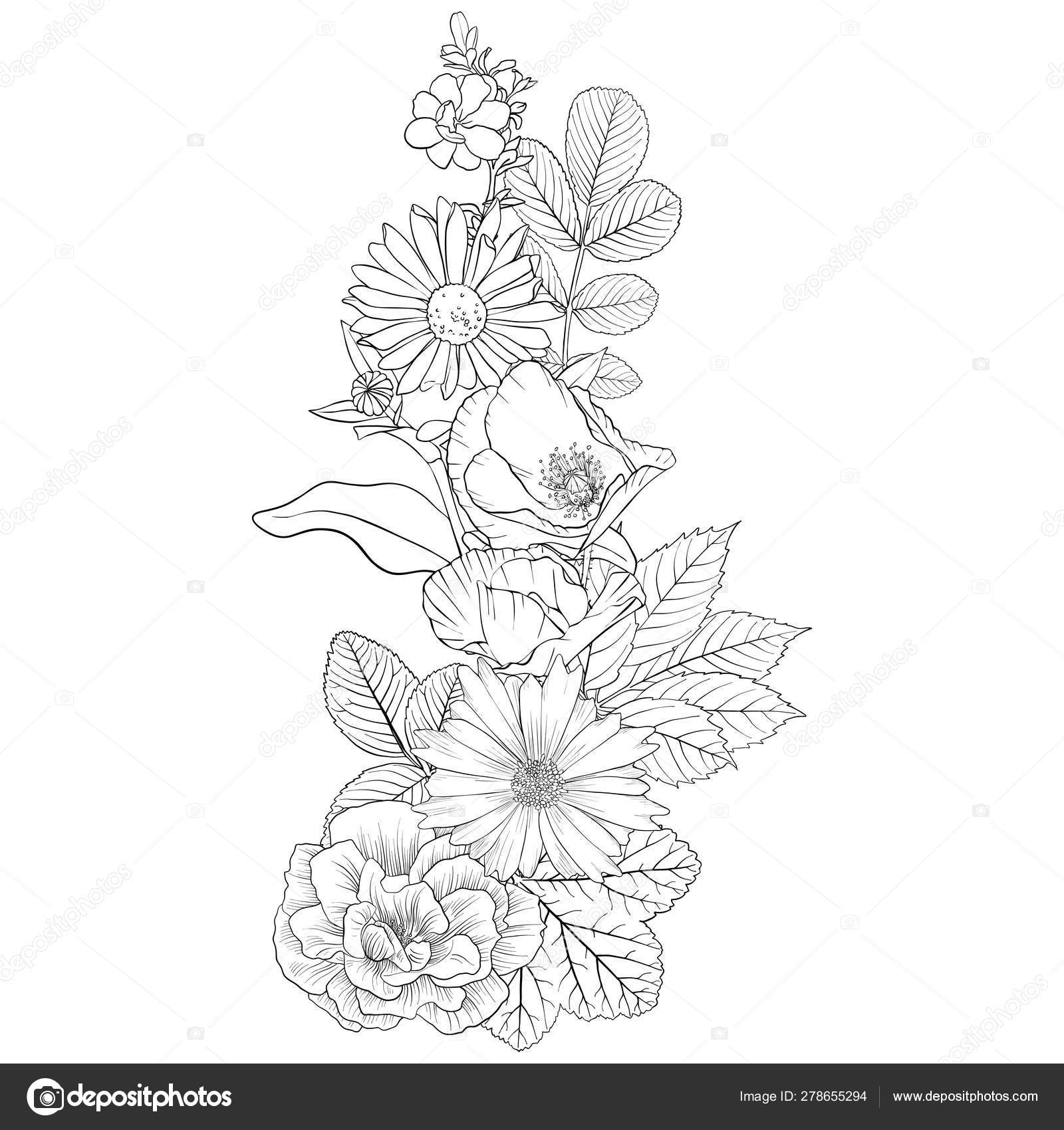 Vector drawing flowers Stock Vector Image by ©cat_arch_angel #278655294