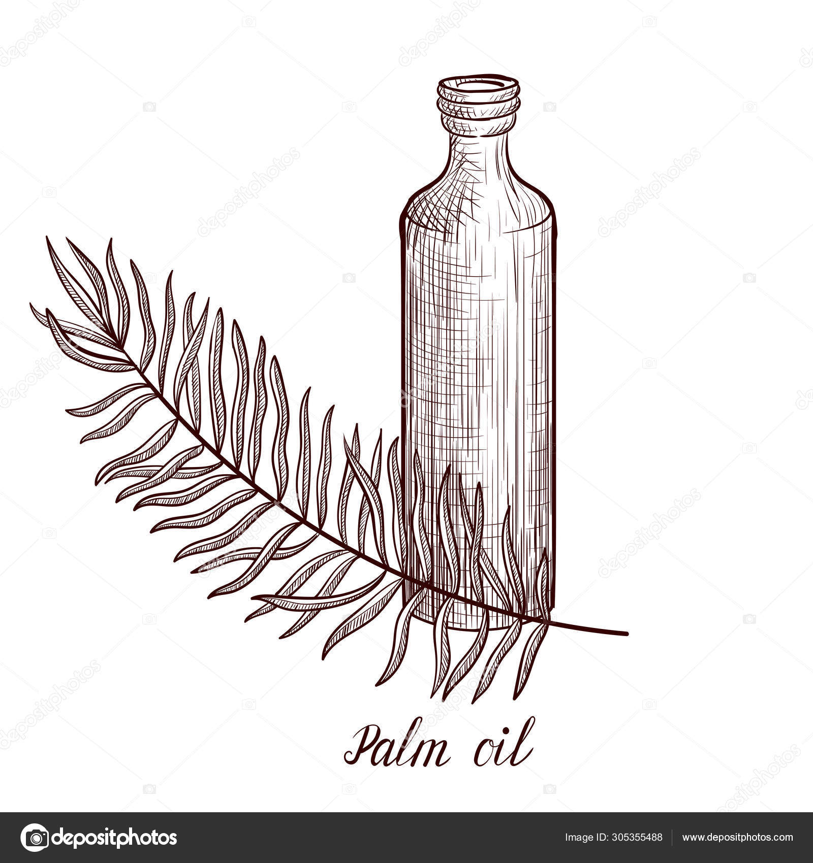Vector dibujo aceite de palma Vector de stock por ©cat_arch_angel 305355488