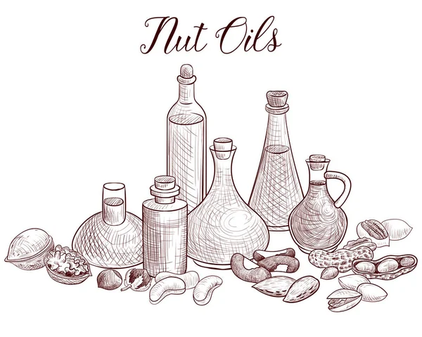 Groundnut Vector Art Stock Images | Depositphotos