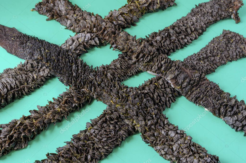 Tiras de estómago de vaca cruda en turquesa. Rayas largas Tripa negra ...