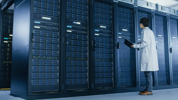 Computer network specialist Images - Search Images on Everypixel