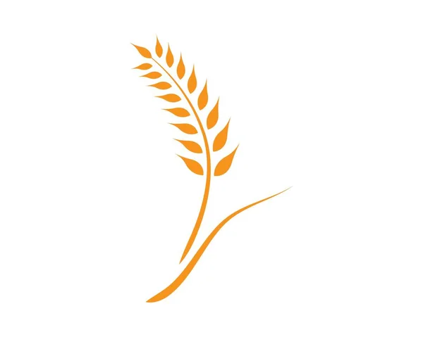Wheat Logo Template — Stock Vector © ahmadwahyu27@gmail.com #281934170