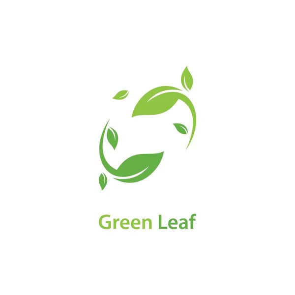 11,335,334 Green leaf solar Vector Images | Depositphotos