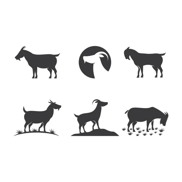 Caprinos leiteiros imágenes de stock de arte vectorial | Depositphotos