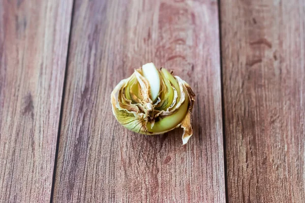 Rotten onions Stock Photos, Royalty Free Rotten onions Images ...