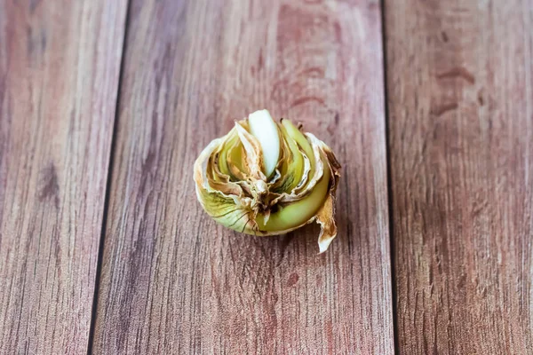 Rotten onions Stock Photos, Royalty Free Rotten onions Images ...