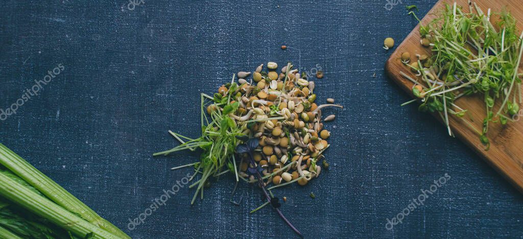 Brotes mixtos Semillas de verde, lentejas semillas de lino. Nuevo ...