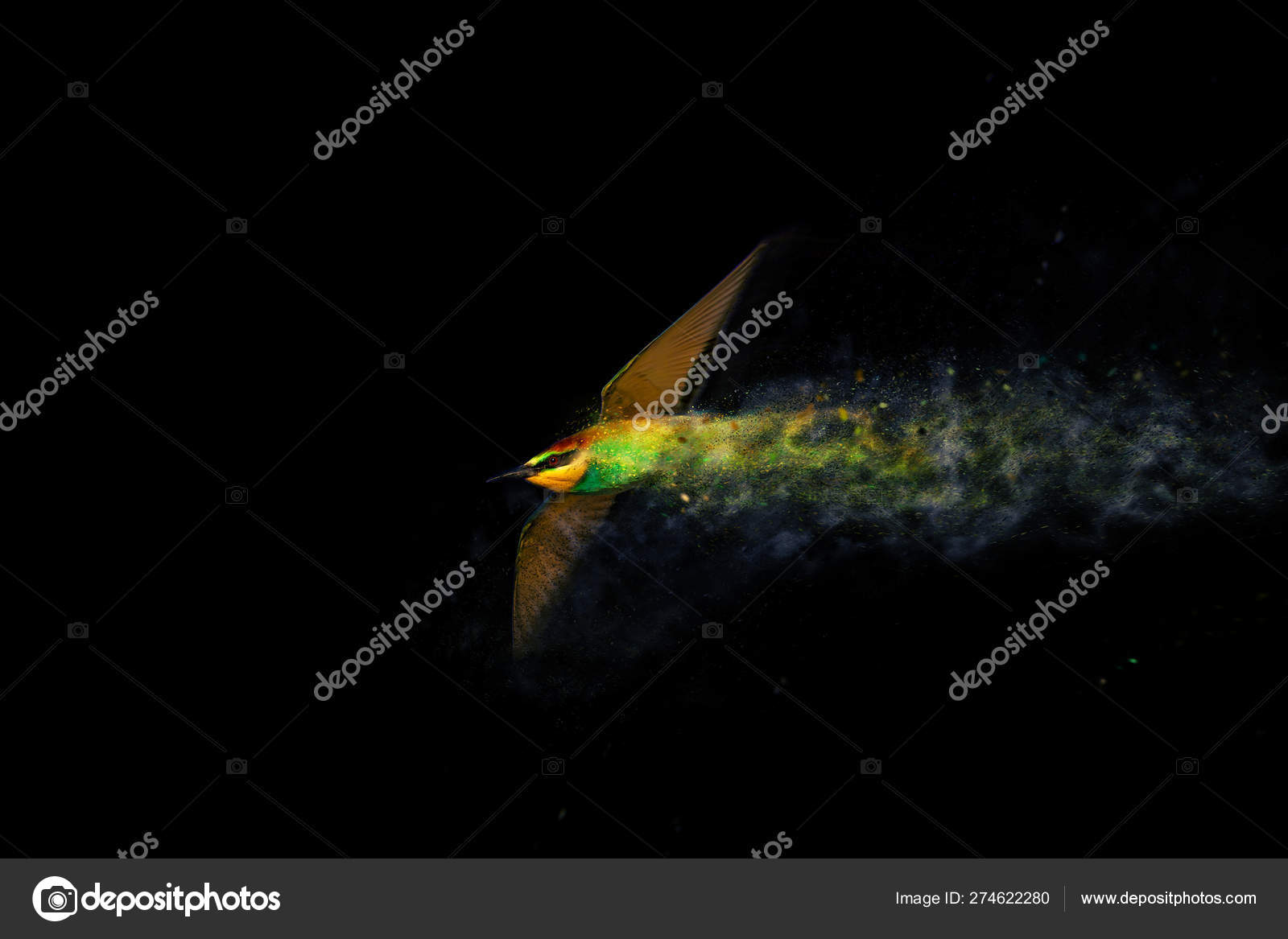 Flying Bird Dispersion Splatter Effect Black Background Bird European ...