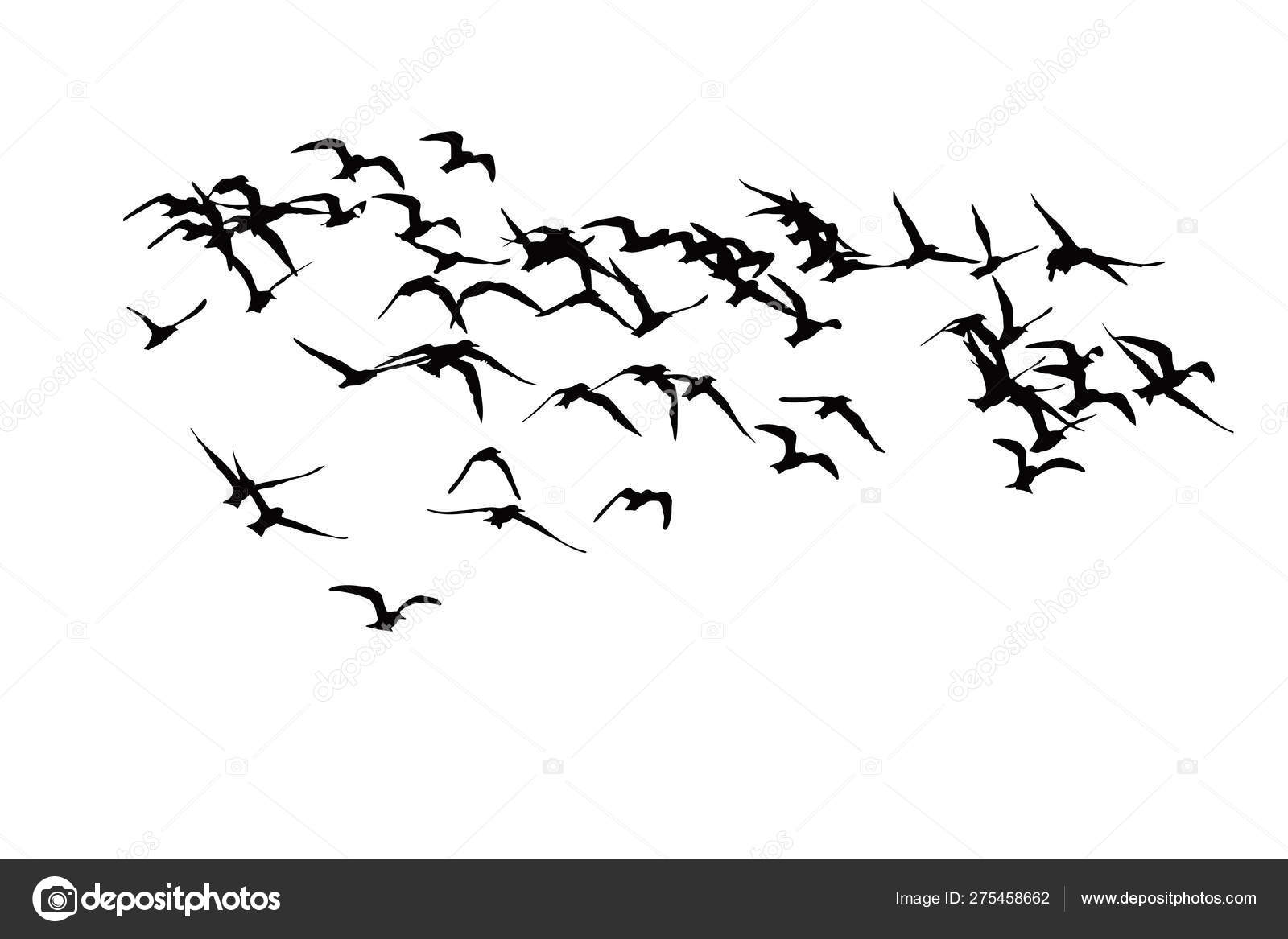 Flying Bird Vector Abstract