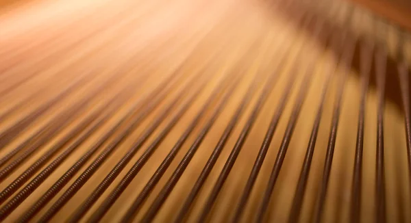 579 Grand piano strings Stock Photos | Free & Royalty-free Grand piano ...