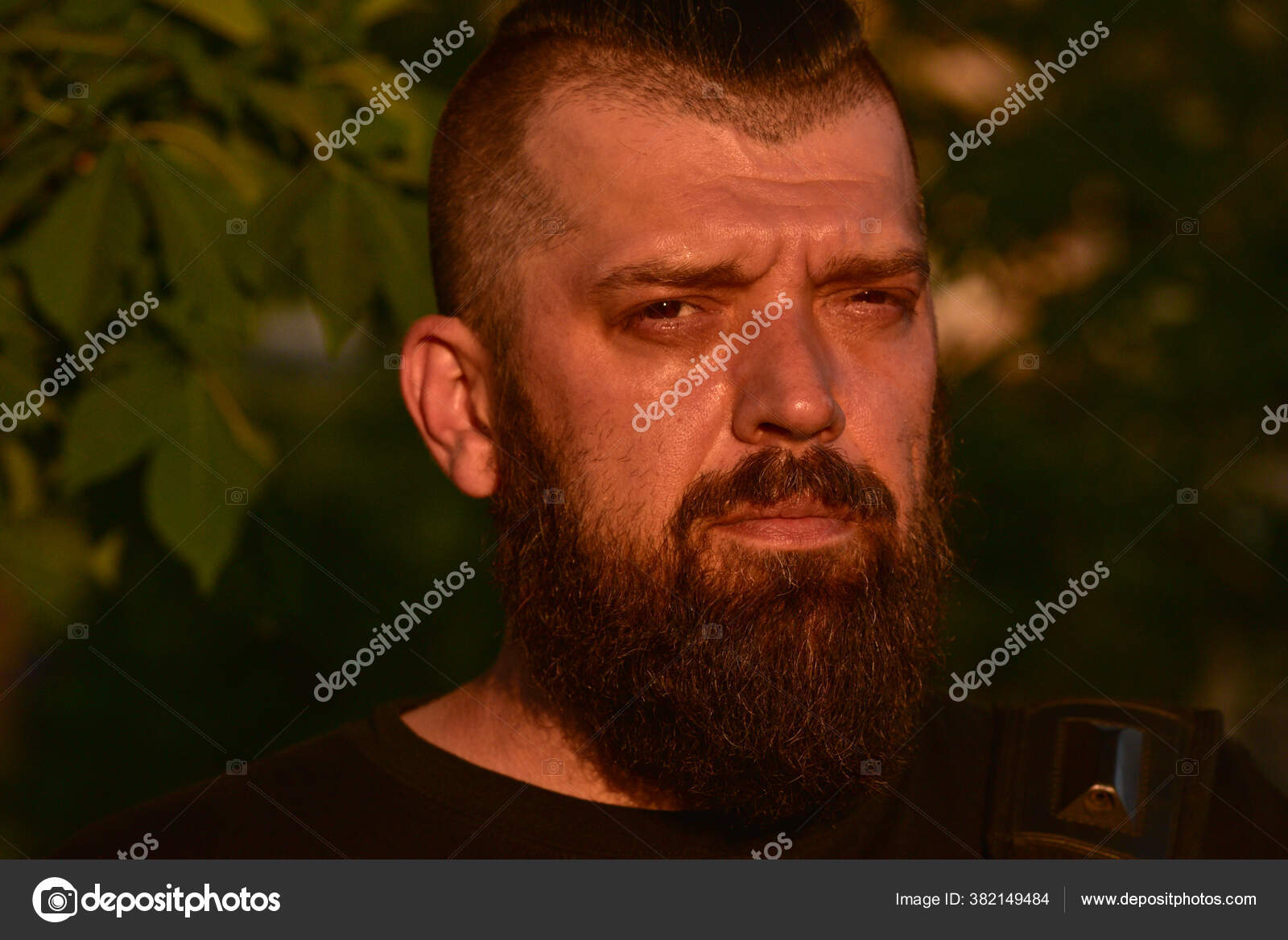 Man Beard Background Greenery Sunset Large Facial Portrait Bearded Man ...
