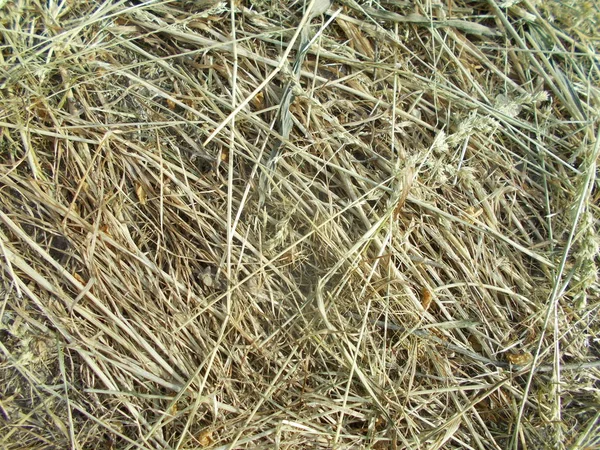 Rotten straw and waste fotos de stock, imágenes de Rotten straw and ...