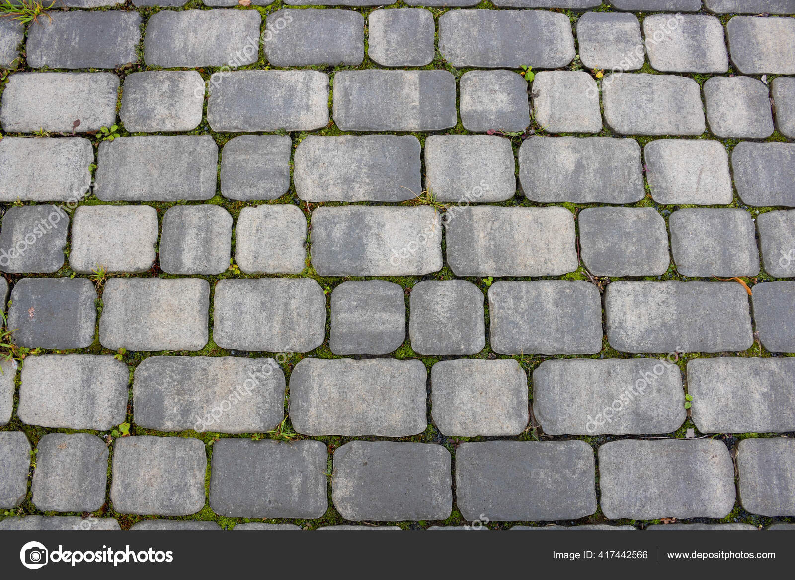 Concrete Pavement Texture