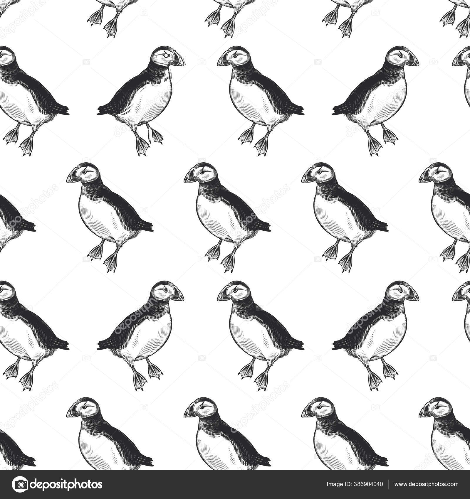 Puffins Exotic Birds Deadlock Seamless Pattern Black Ink White ...