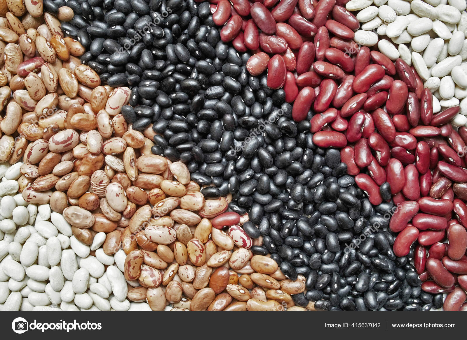 Some Varieties Beans Black Turtle Red Rajma Pinto White ⬇ Stock Photo ...