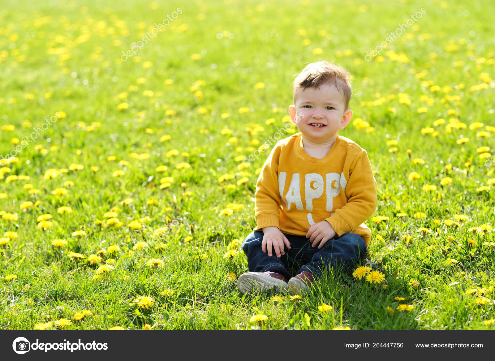 Little Cute Baby Boy Playing Meadow Full Common Sow Thistle — Stock ...