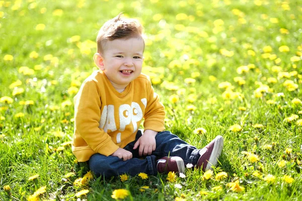 Little Cute Baby Boy Playing Meadow Full Common Sow Thistle Stock Photo ...