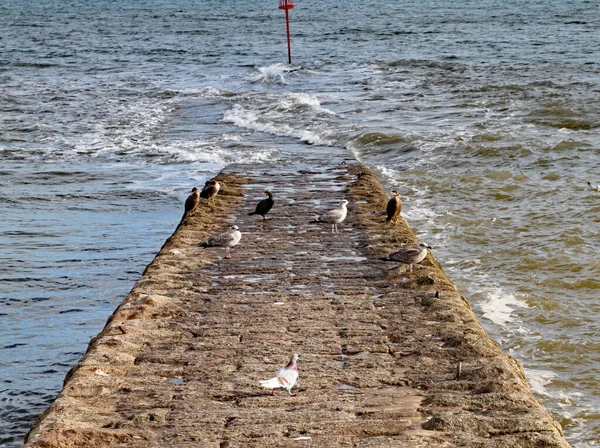 Weymouth beach Stock Photos, Royalty Free Weymouth beach Images ...