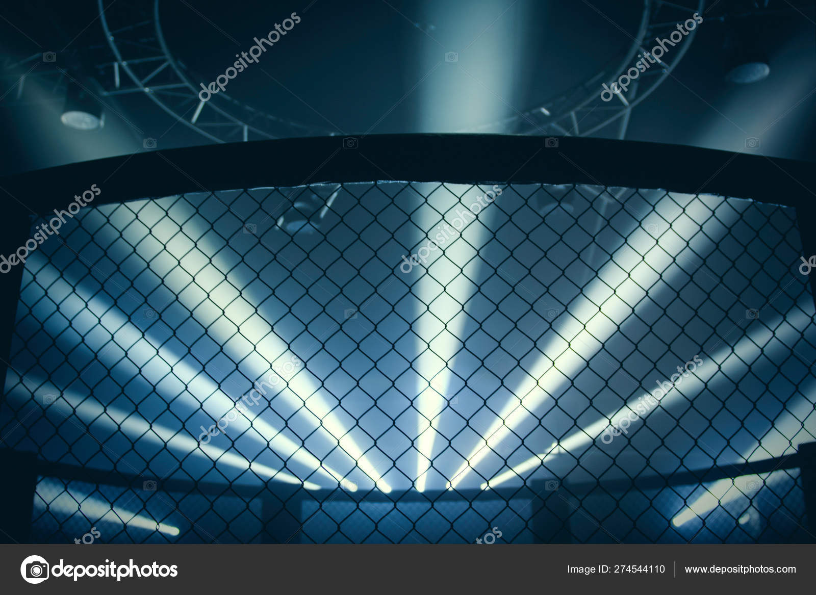 Mma Octagon Background