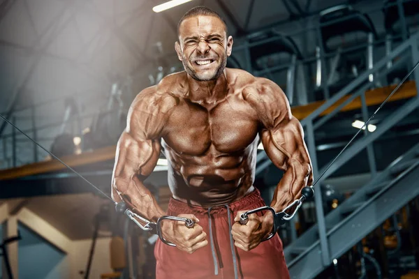 Handsome bodybuilder Stock Photos, Royalty Free Handsome bodybuilder ...