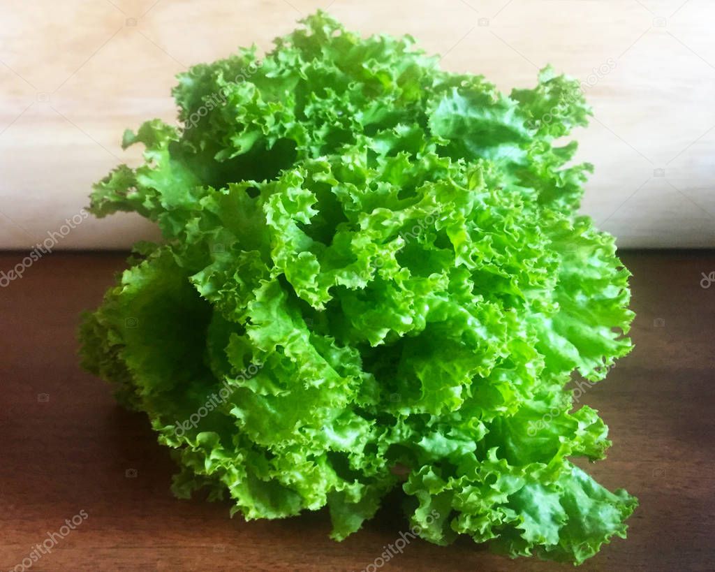 Un ramo de hojas de lechuga crujiente verde sobre la mesa. Primer plano ...