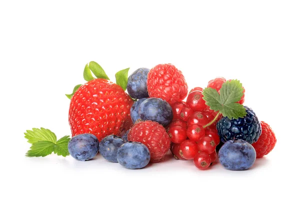 Baies fond blanc images libres de droit, photos de Baies fond blanc ...