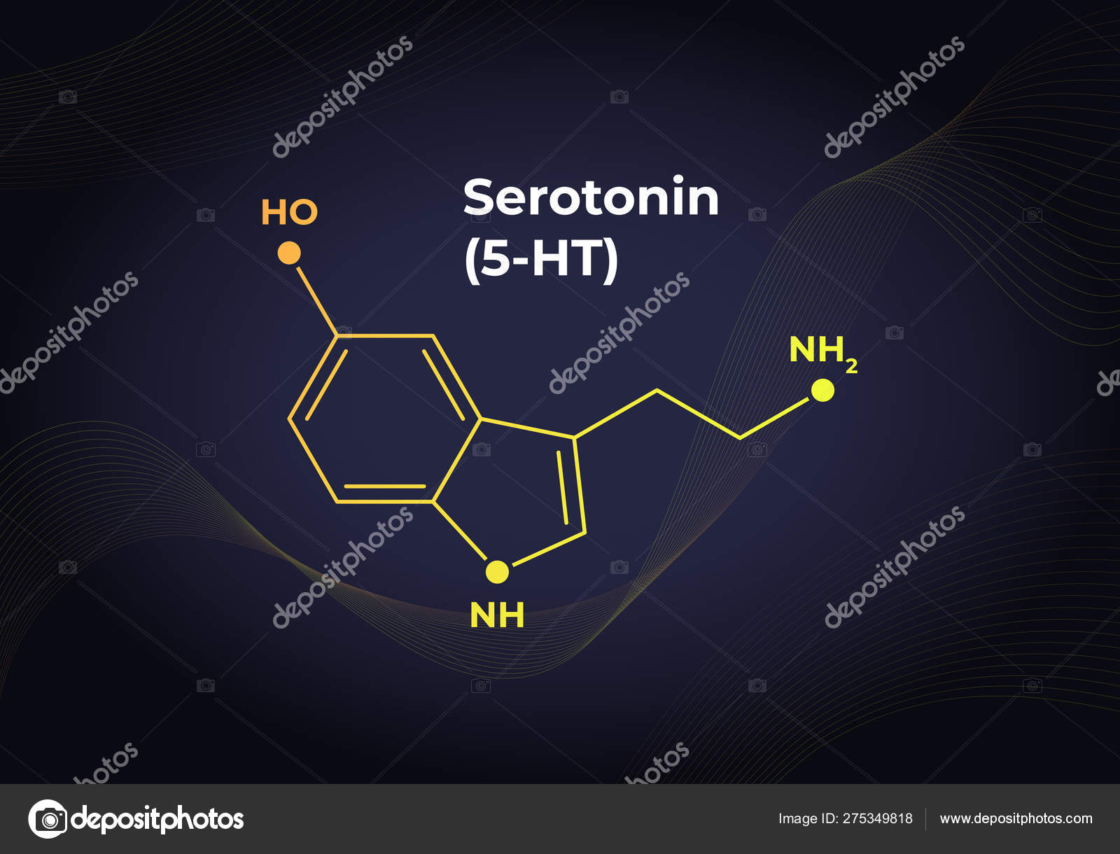 Vector hormones blend banner template. Seratonin (5-HT) structure on in ...