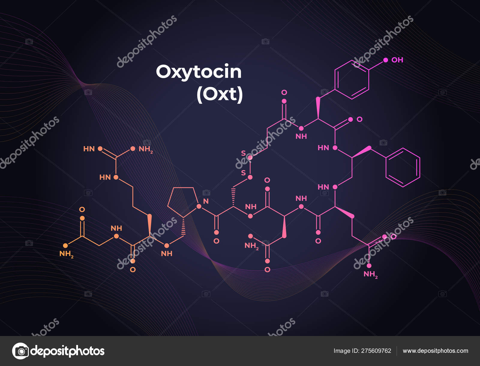 Oxytocin Molecule 3d