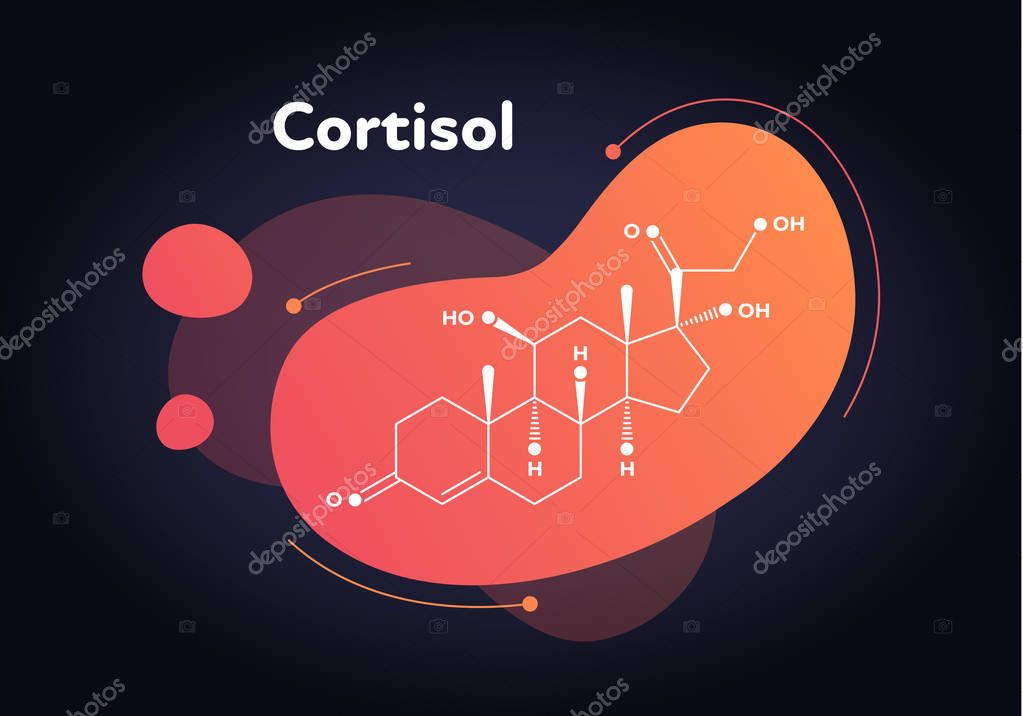 Hormonas vectoriales fluido banner moderno. Estructura de cortisol en ...