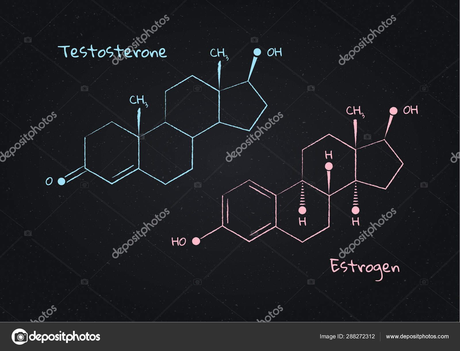 Vector testosterone and estrogene structure banner illustration set ...