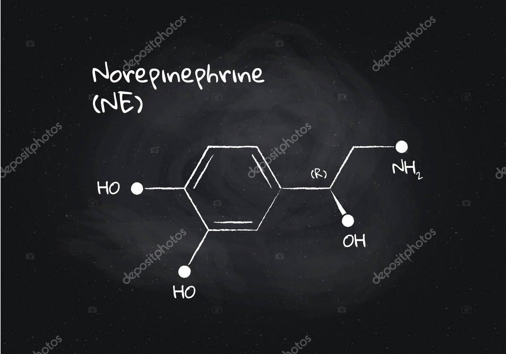 Ilustración de banner de estructura de norepinefrina vectorial. Hormona ...