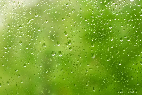 Raindrops on a window pane, green transparent background. - Stock Image ...