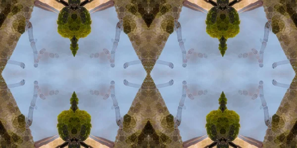 Freshwater collage images libres de droit, photos de Freshwater collage ...