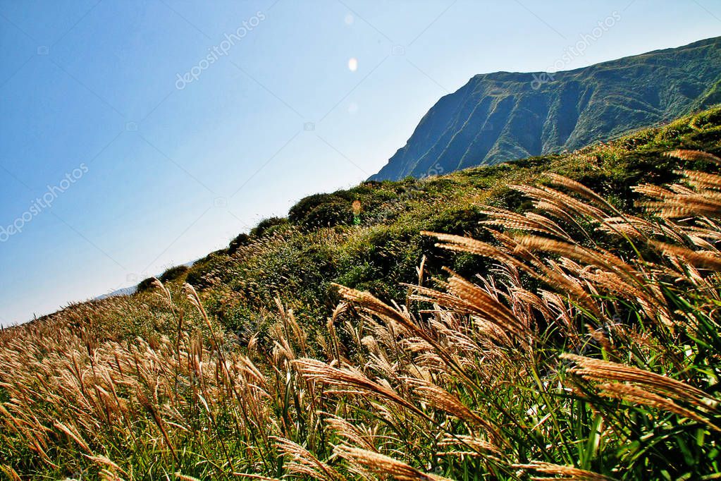 Monte Aso (Aso-san), el volcán activo más grande de Japón se encuentra ...
