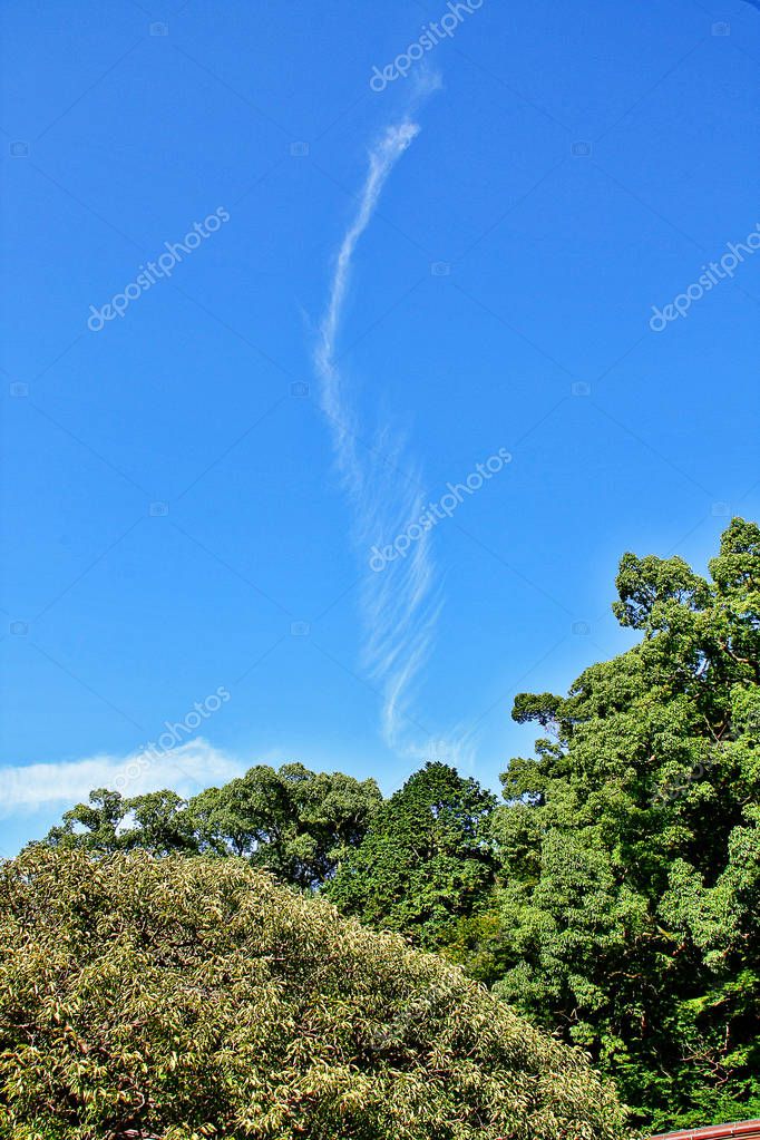 Dazaifu Tenman-gu, un santuario sintoísta construido sobre la tumba de ...