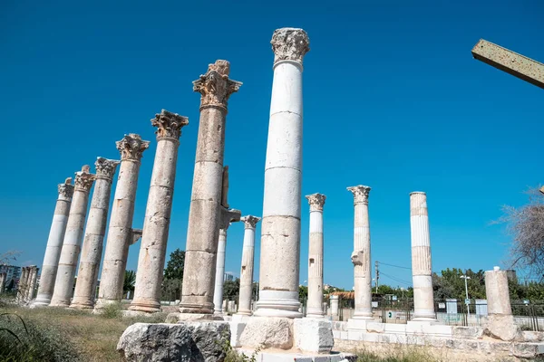 23 Soloi Stock Photos, Images | Download Soloi Pictures on Depositphotos®