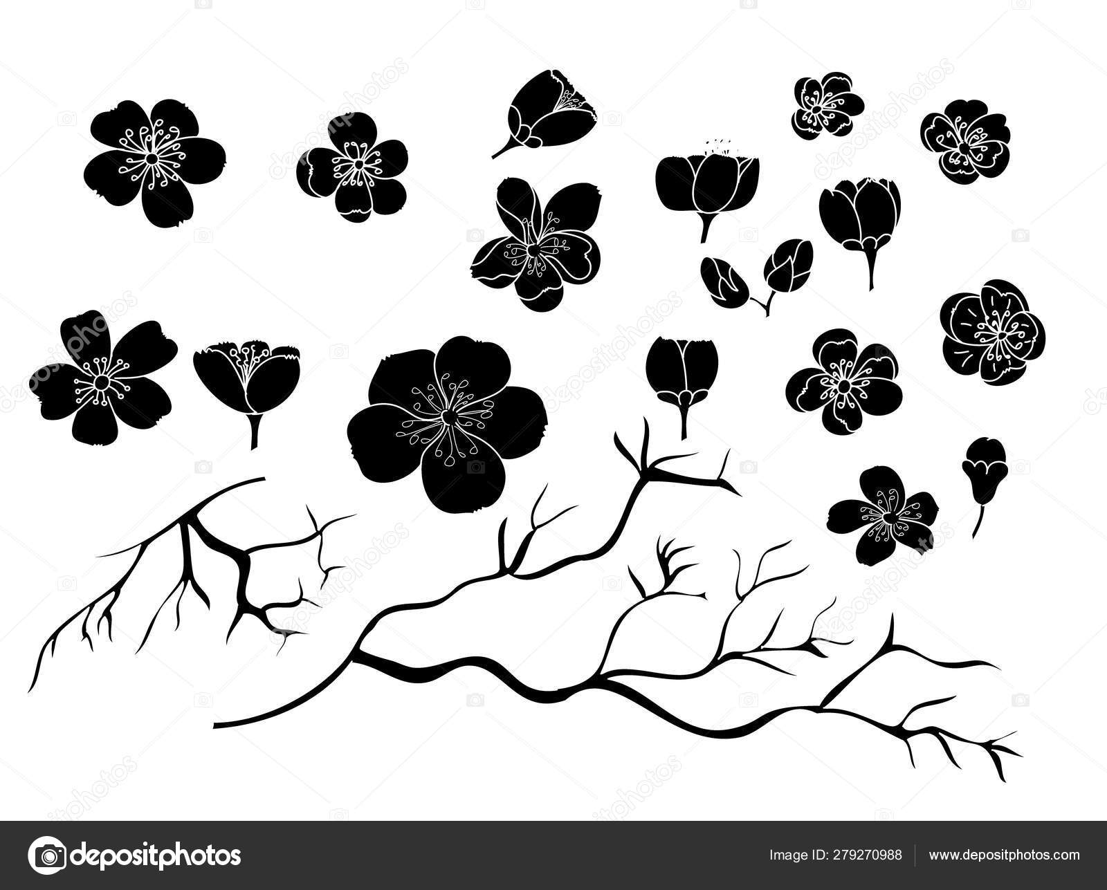 Sakura Flower Vector Art