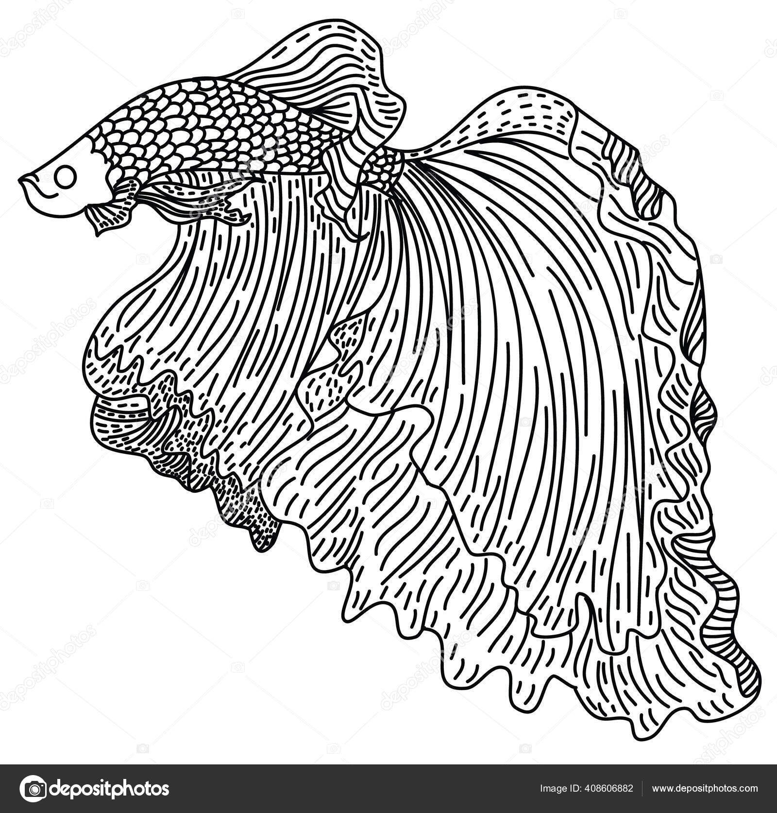 Colorful Betta Fish Drawing