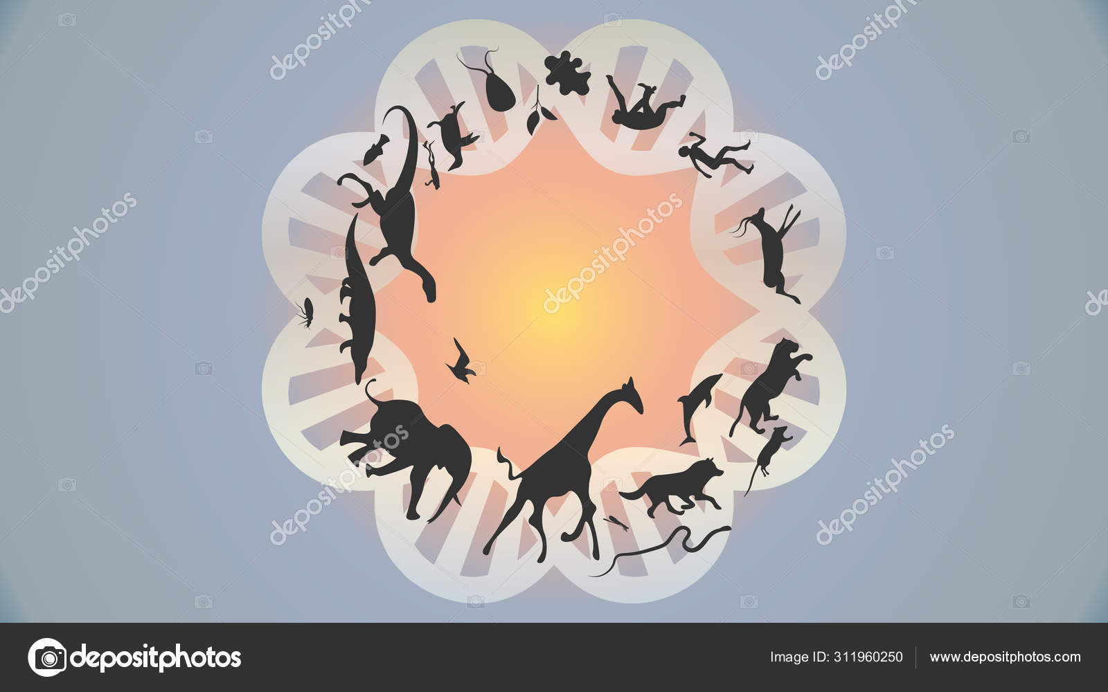 Evolution Species Illustration Evolution Vector Design — Stock Vector ...