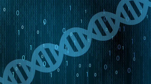 Bioinformatique Stock Photos, Royalty Free Bioinformatique Images ...