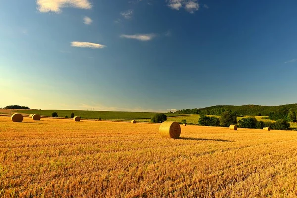 Summer Farm Wallpapers