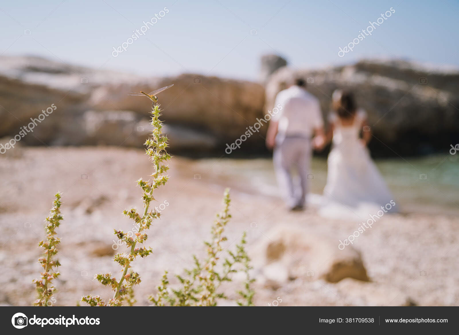 Back view just married couple standing on the rocks in front of the ...