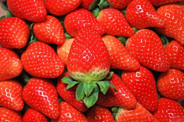 Fraises rouges naturels images libres de droit, photos de Fraises ...