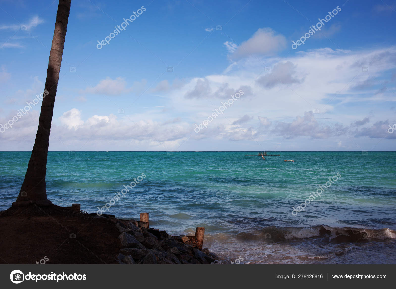 Beautiful Place Called Maragogi Alagoas State Brazil Beach Called Xareu ...