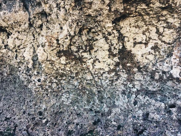 Texture Chalk Stone Karst Stone Gunung Kidul Indonesia Stock Photo by ...