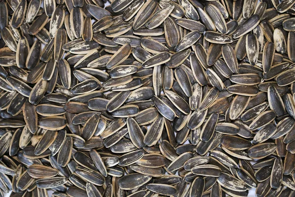 Sunflower seed shells Stock Photos, Royalty Free Sunflower seed shells ...